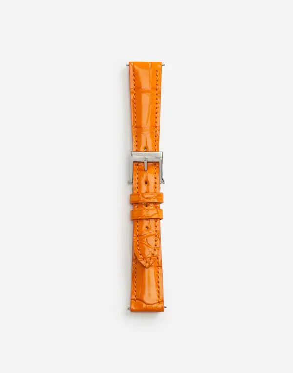 Dolce & Gabbana Alligator Strap With Steel Buckle - Orange