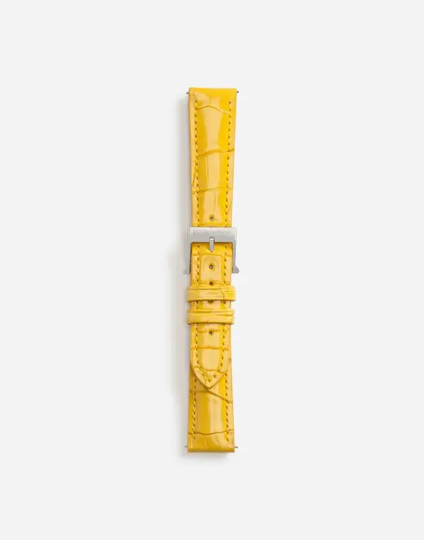 Dolce & Gabbana Alligator Strap With Steel Buckle - Yellow