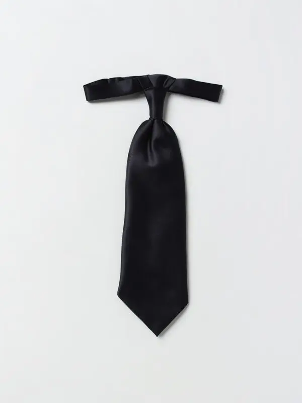 Corneliani Neck Tie - Blue