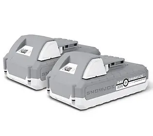 SUN JOE Set Of 2 24v 2.0ah Batteries