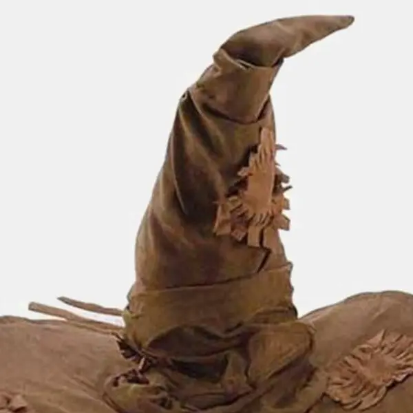 HARRY POTTER Sorting Hat Costume - Black | Editorialist
