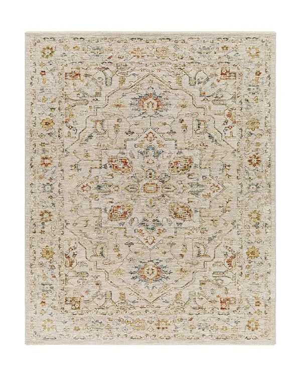 LIVABLISS Reina Ren-2303 Area Rug, 2' X 3
