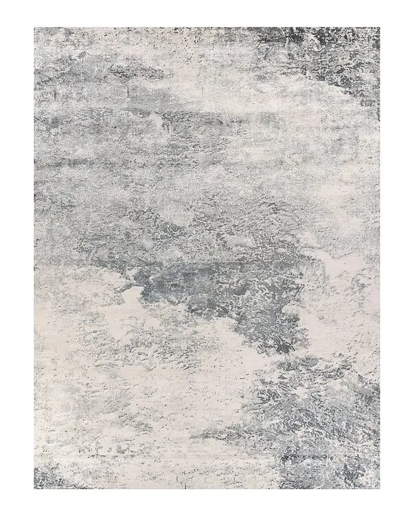EXQUISITE RUGS Cassina Er3914 Area Rug, 8' X 10 - Onyx/multi
