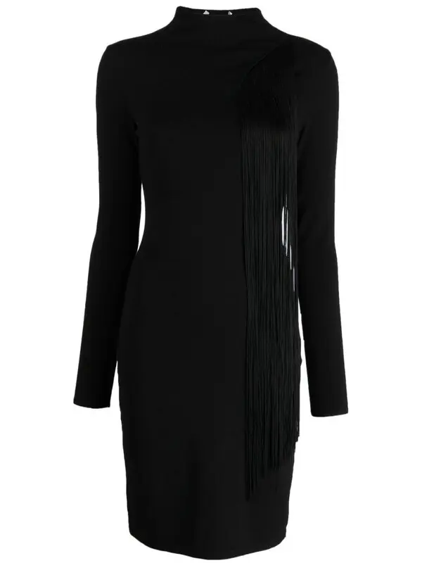 Stella McCartney Asymmetric Fringed Knitted Dress