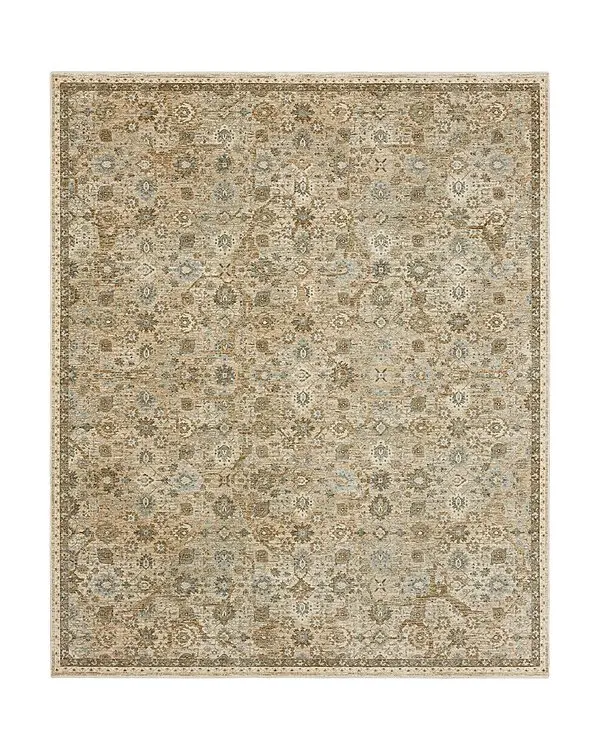 KARASTAN Divina Ethereal Area Rug, 6'6 X 9'6