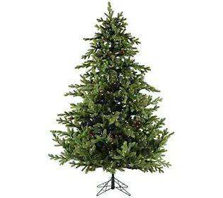 FRASER HILL FARM 10-ft. Foxtail Pine Christmas Tree