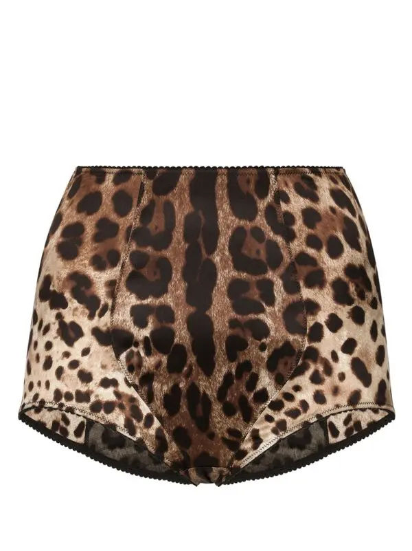 Dolce & Gabbana Leopard-print High-waisted Briefs - Brown