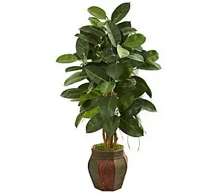 NEARLY NATURAL 52' Rubber Leaf Tree In Planter By