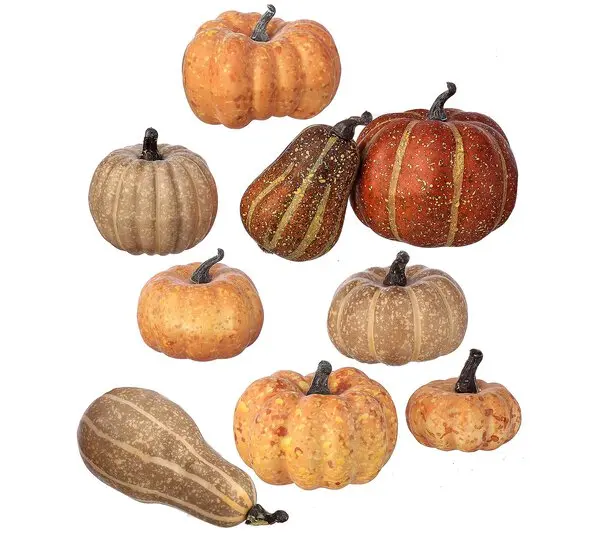 VALERIE PARR HILL Set Of 9 2.5-5' Pumpkin Assortment Valerie