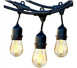 BRIGHTECH Ambience Pro Led 1w S14 24 Ft Hanging String Lights
