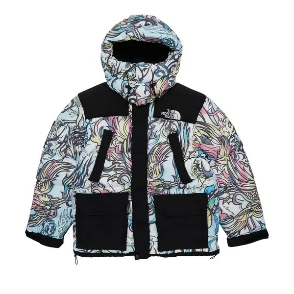 Supreme X The North Face 700-fill Down Parka - Multicolor