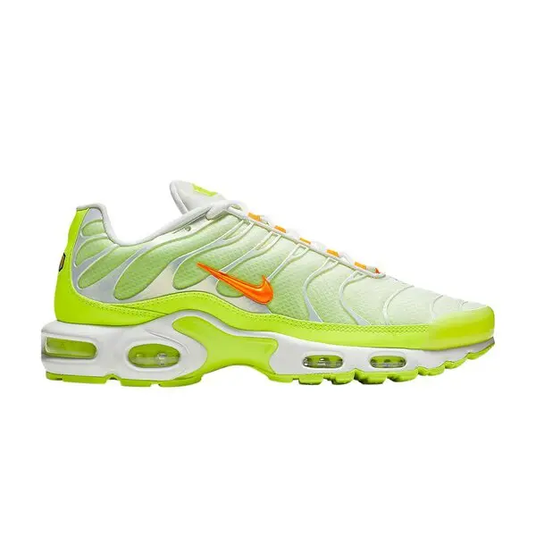 Nike Air Max Plus Sneakers - Multicolor