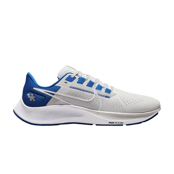 Nike Zoom Pegasus 38 'kentucky' Athletic Sneakers
