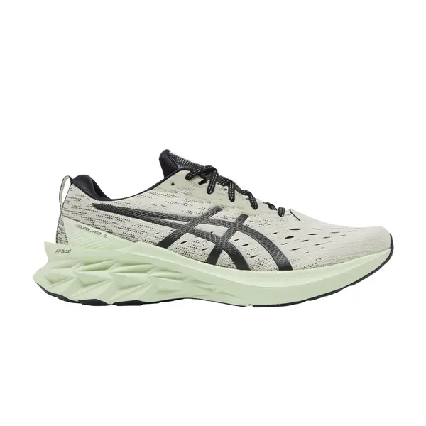 Asics Novablast 2 Sneakers - White