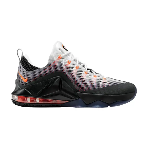 Nike Air Max 95 Lebron Low Sneakers