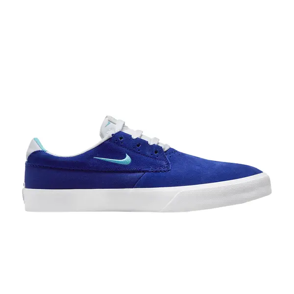 Nike Shane Sb Sneakers