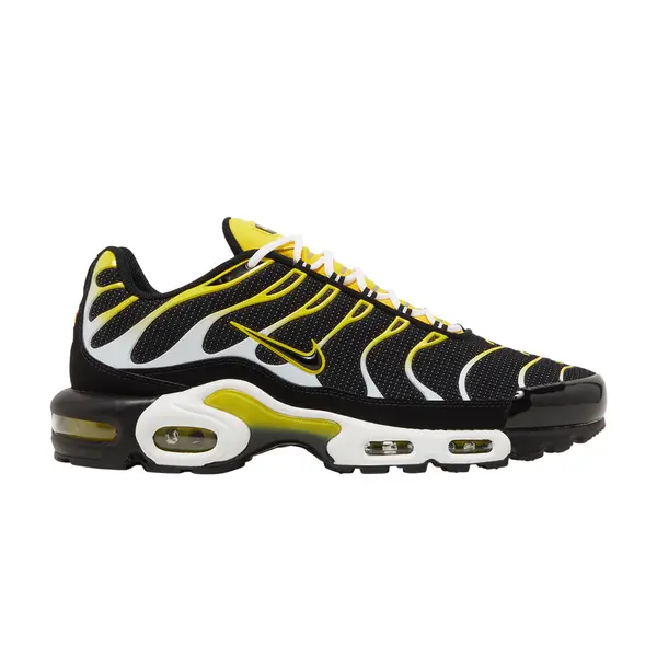 Nike Air Max Plus Sneakers - Black