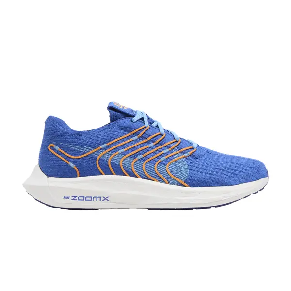 Nike Pegasus Turbo Next Nature
