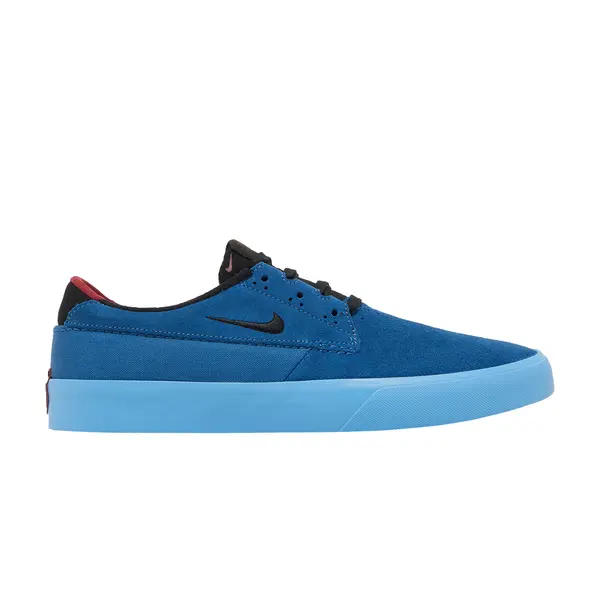 Nike Shane Sb Sneakers - Blue