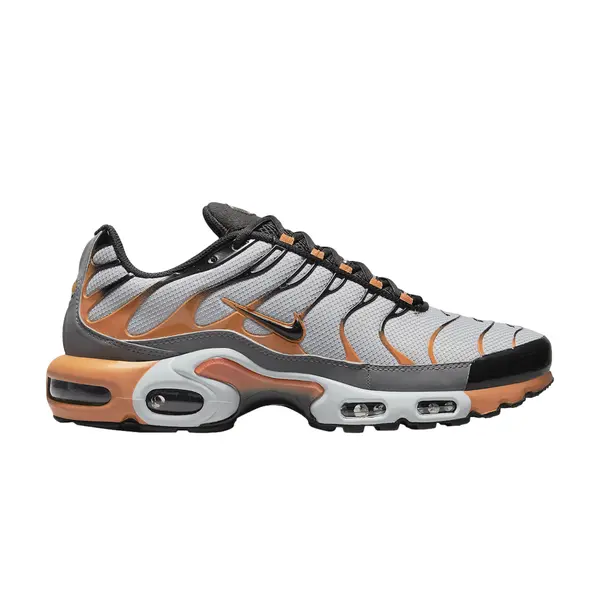 Nike Max Plus - Grey