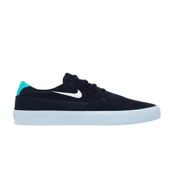 Nike Shane Sb Sneakers - Blue