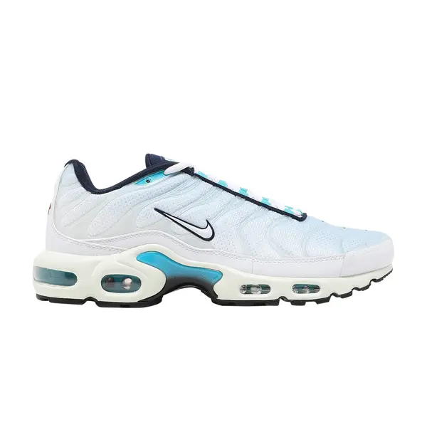 Nike Max Plus Sneakers - Blue