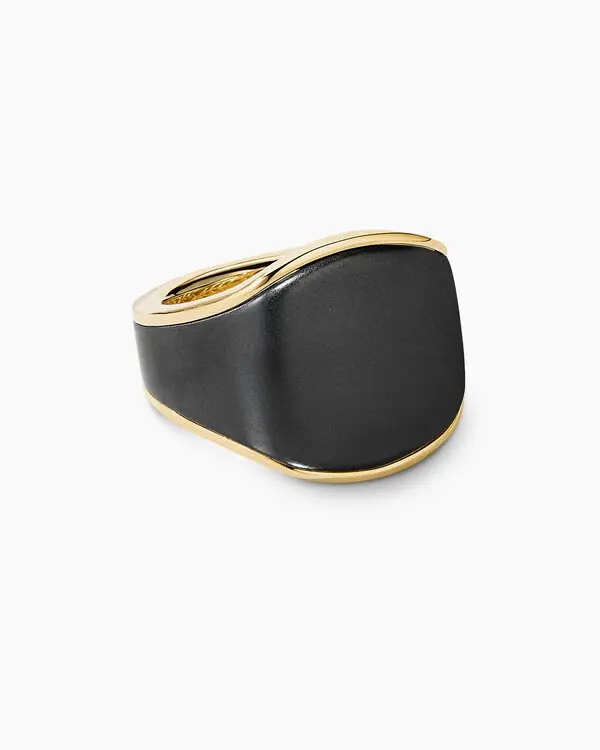 David Yurman Streamline® Signet Ring In 18k Yellow Gold With Black Titanium