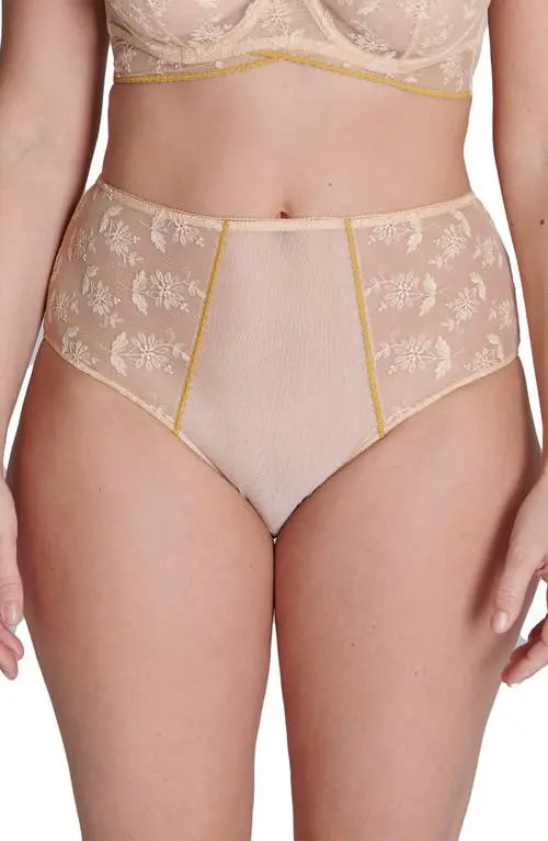 Simone Perele Adele High Waist Lace & Mesh Briefs - Ginger