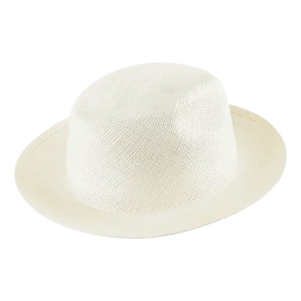 Vilebrequin Panama Hat
