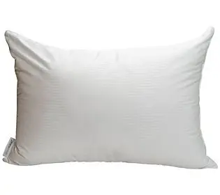 ALLER-EASE Allerease Total Allergy Defense Pillow, 2pk, St Ndard/queen - One-color