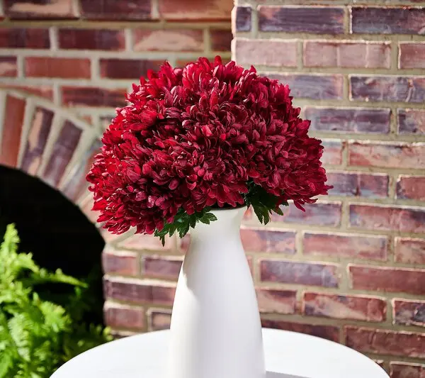 VALERIE PARR HILL Faux Mum Urn Filler Valerie