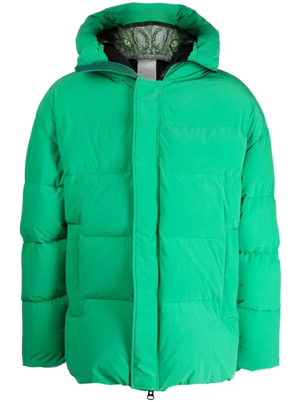 DOUBLET Padded Animal Motif Hoodie Jacket - Green