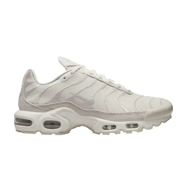 Nike Air Max Plus Premium - Brown
