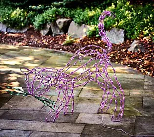 BETHLEHEM LIGHTS As Is 38' Halloween Cat With 250 Led