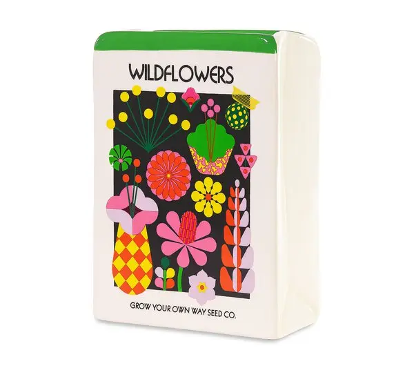 Ban.do Wildflower Seeds Vase