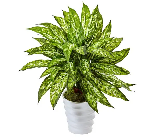 NEARLY NATURAL Aglaonema In Swirl Planter By