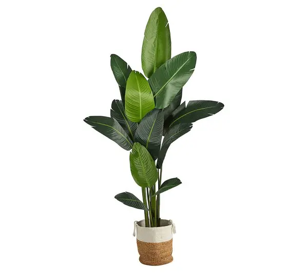 NEARLY NATURAL 7-ft Artificial Travelers Palm T Ree With Baske