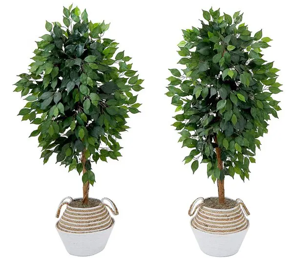 NEARLY NATURAL S/ 4.5' Ficus Tree W/ Double Unk Diy Kit