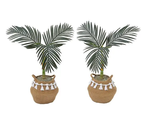 NEARLY NATURAL S/ 3' Golden Cane Palm Tree D Iy Kit