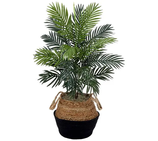NEARLY NATURAL 3-ft Artificial Areca Palm Tree Y Kit
