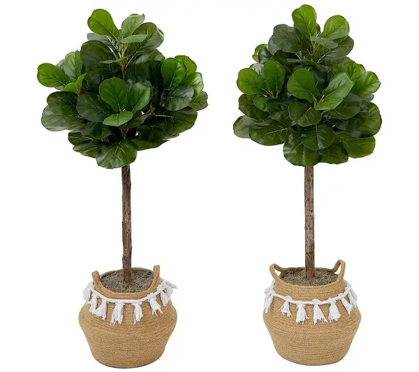 NEARLY NATURAL S/ 4-ft Fiddle Leaf Fig Tree Y Kit