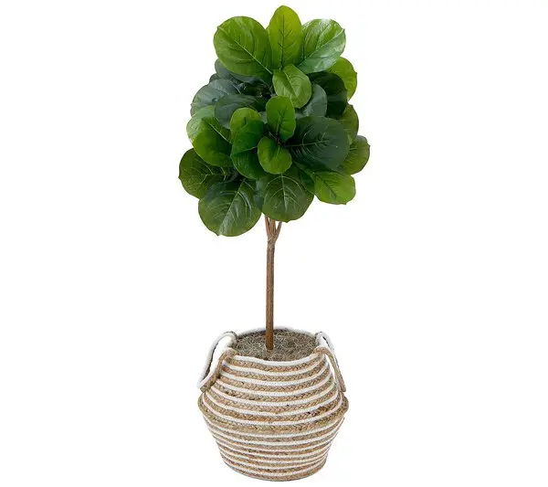 NEARLY NATURAL 3.5-ft Fiddle Leaf Fig Tree Diy T