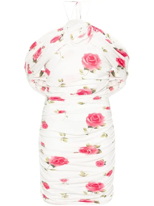 Magda Butrym Rose-print Minidress