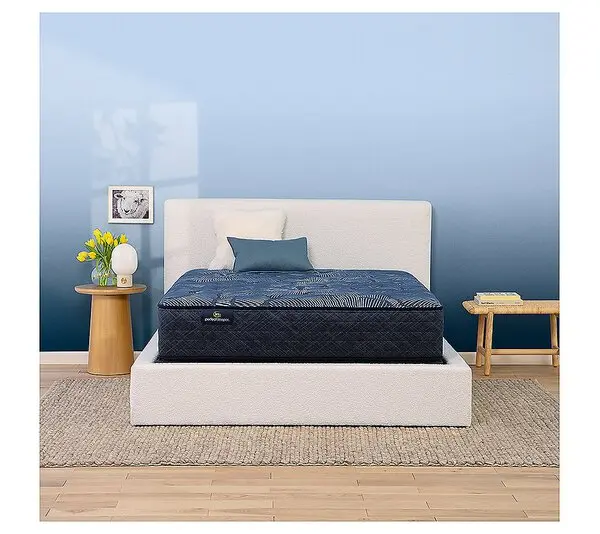 SERTA Cobalt Calm 13.25' Plush Mattress Set -fu L