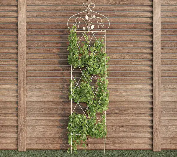 PURE GARDEN 63" Decorative Trellis For Climbing Plants - One-color ...