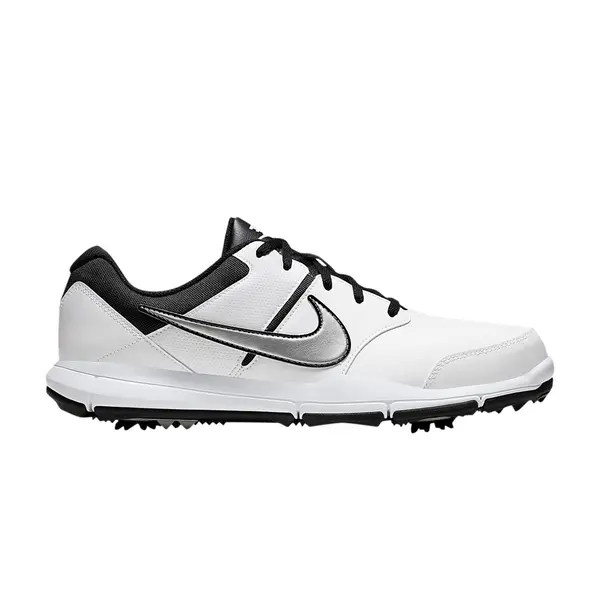 Nike Durasport 4 Wide Metallic Silver