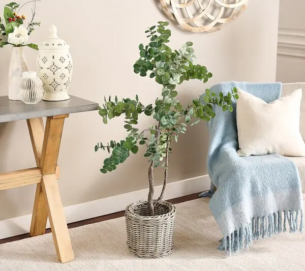 VALERIE PARR HILL 4' Faux Eucalyptus Tree In Starter Pot Valerie