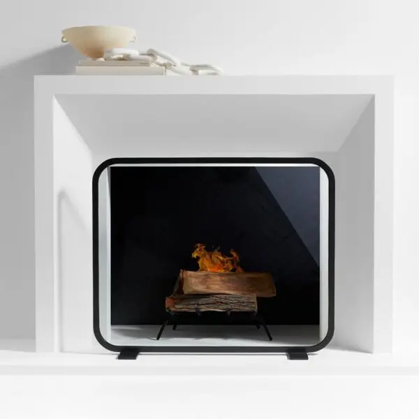 Crate & Barrel Telum Fireplace Screen