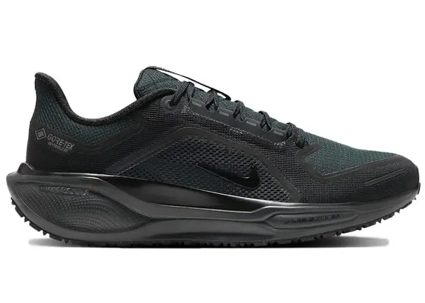 Nike Air Zoom Pegasus 41 Gore-tex Sneakers - Black/anthracite
