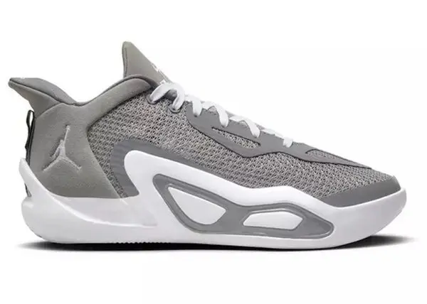JORDAN Tatum 1 Cool Grey Sneakers